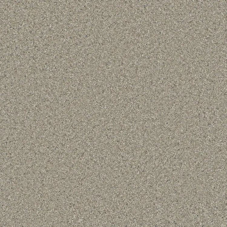 Phenix Microban Merino 727 Chenille Textured Polyester Carpet — Stone ...