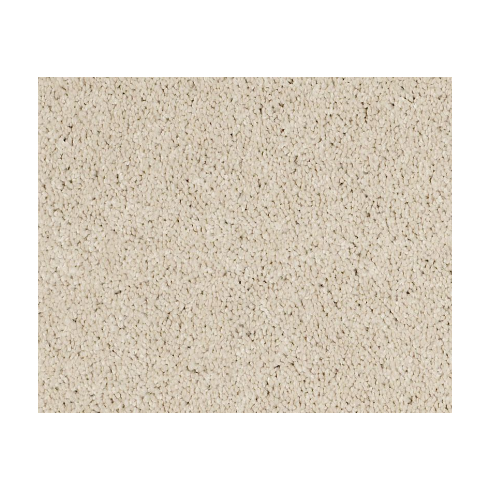 Shaw Castle PV I 00104 Cheviot Textured Nylon Carpet | Lowest Price ...