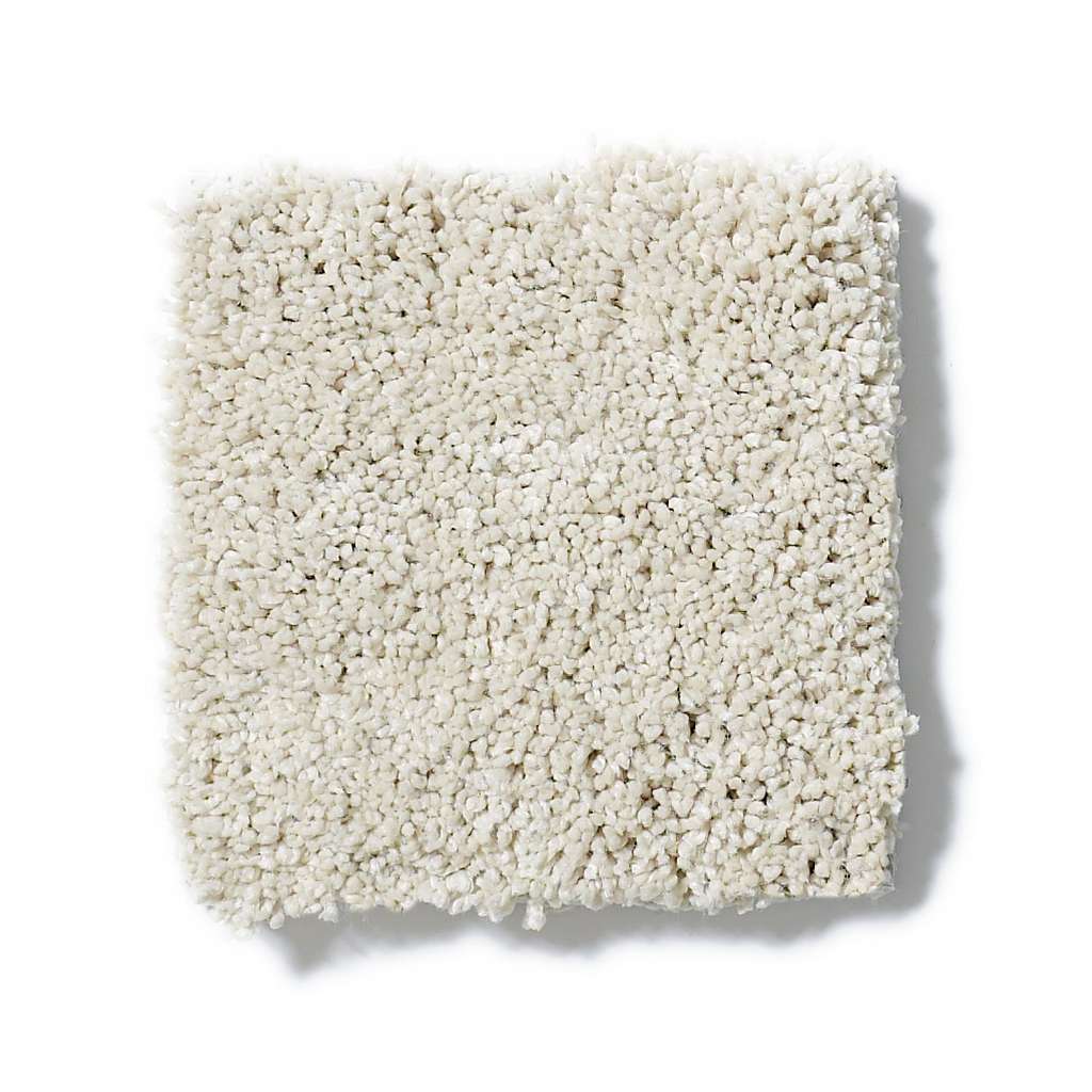 Shaw Caress By Shaw Quiet Comfort Classic III 00104 Cheviot Carpet ...