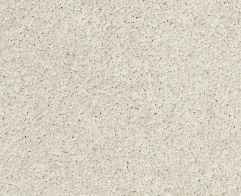 Shaw Pelotage II 00104 Cheviot Textured Nylon Carpet | Lowest Price ...
