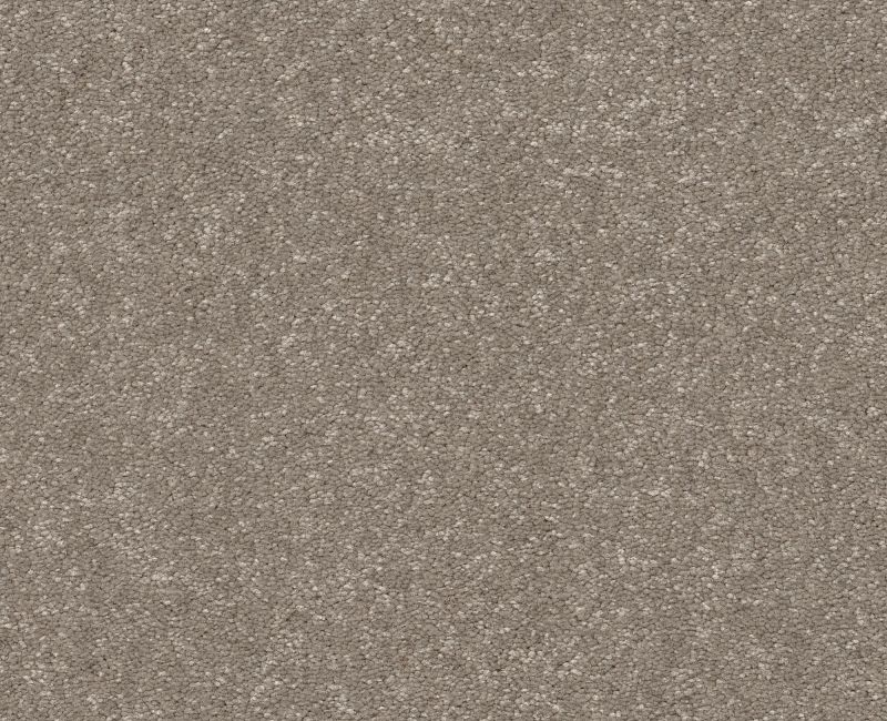 Shaw Pet Perfect Hard At Play II 15' 00111 Chic Greige Carpet — Stone ...