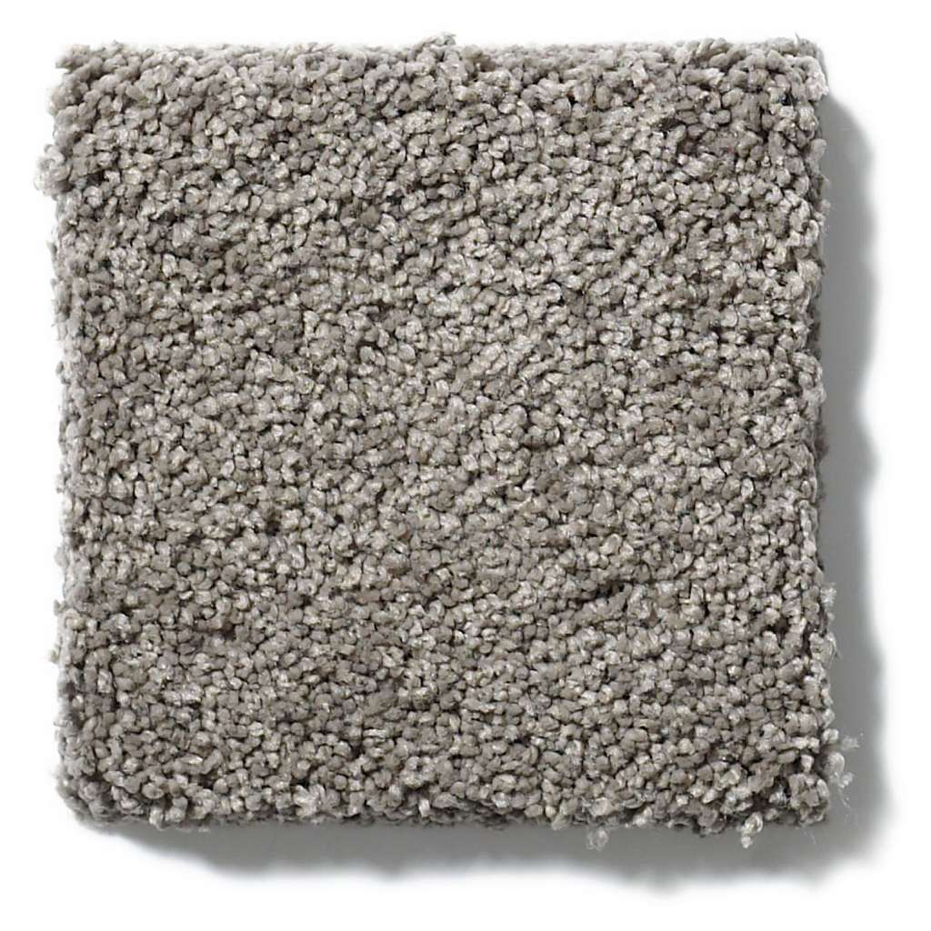 Shaw Caress By Shaw Quiet Comfort Classic I 00526 Chinchilla Carpet ...