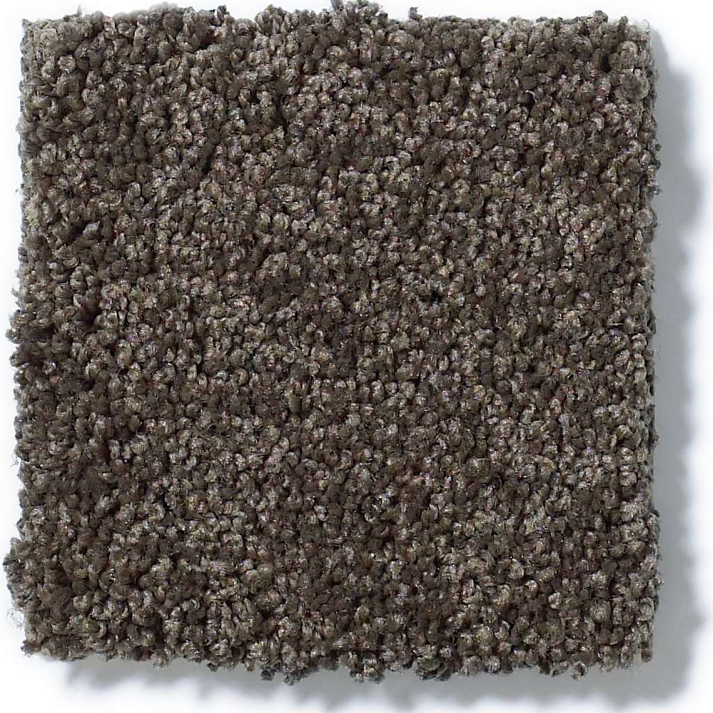 Shaw Soft Shades My Choice II 00758 Chocolate Textured Nylon Carpet ...
