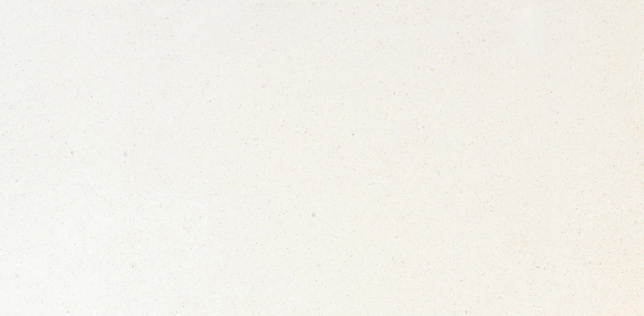 Shell Stone Split Face Limestone Veneer | Lowest Price — Stone & Tile ...