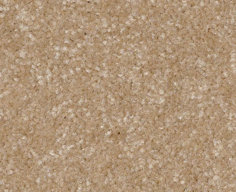 Shaw Leon 12' 00108 Classic Buff Textured Nylon Carpet | Lowest Price — Stone & Tile Shoppe, Inc.