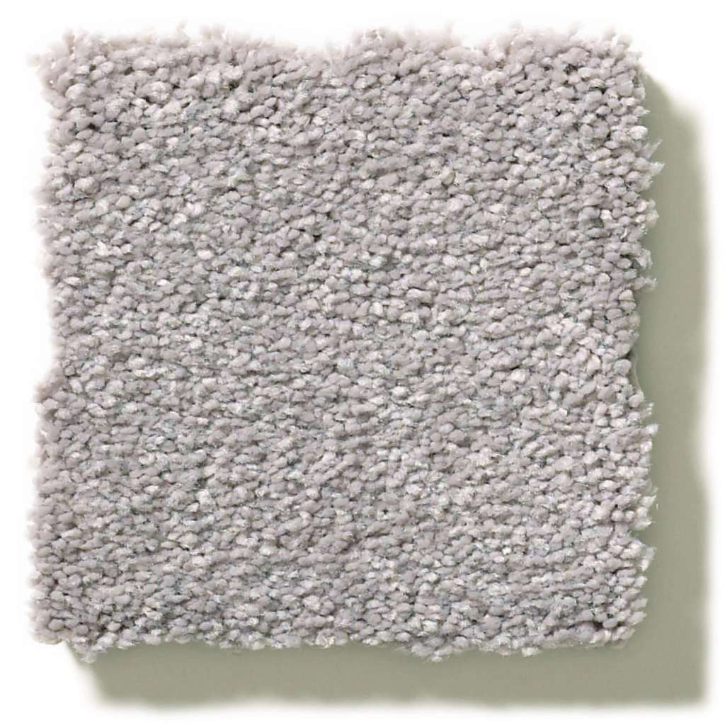Shaw Simply The Best Montage I 500S Classic Silver Polyester Carpet ...