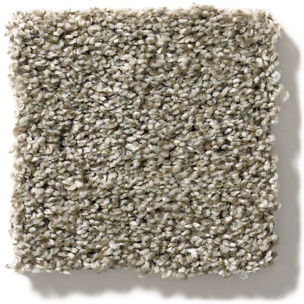 Shaw Simply The Best All Over It II 00701 Clay Polyester Carpet — Stone ...