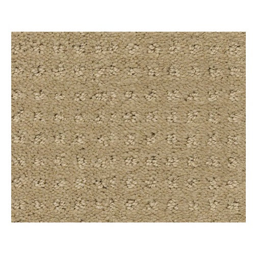Shaw Warming Pattern 00108 Clay Stone Pattern Nylon Carpet — Stone ...