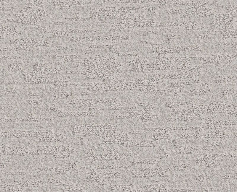 Shaw Dunkin' 00500 Cloudy Gray Pattern Polyester Carpet | Lowest Price ...