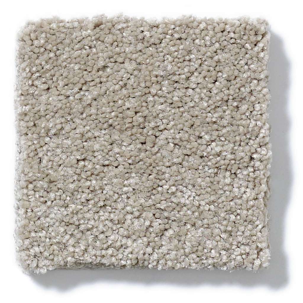 Shaw What's Up 00702 Coastal Fog Textured Nylon Carpet | Lowest Price ...