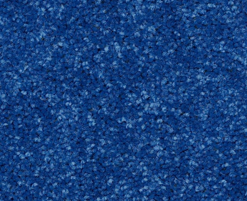 Shaw Nantucket Summer 15' 55453 Cobalt Textured Polyester Carpet ...