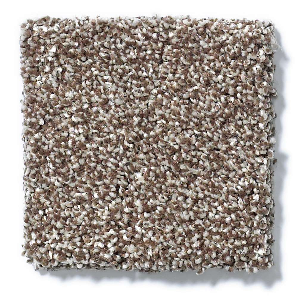 Shaw Foundations Always Ready II 00798 Cobble Brown Nylon Carpet ...