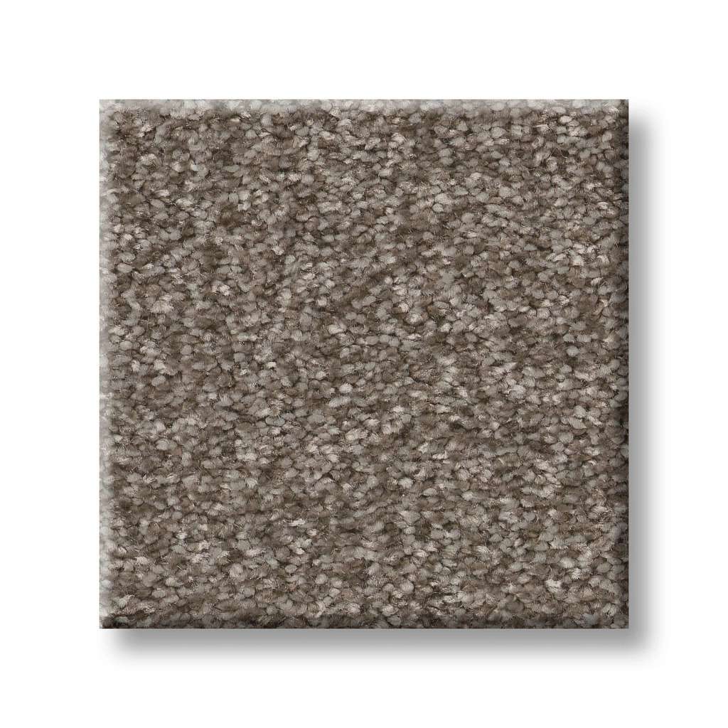 Shaw Pet Perfect You Got This I 00750 Cobblestone Polyester Carpet ...