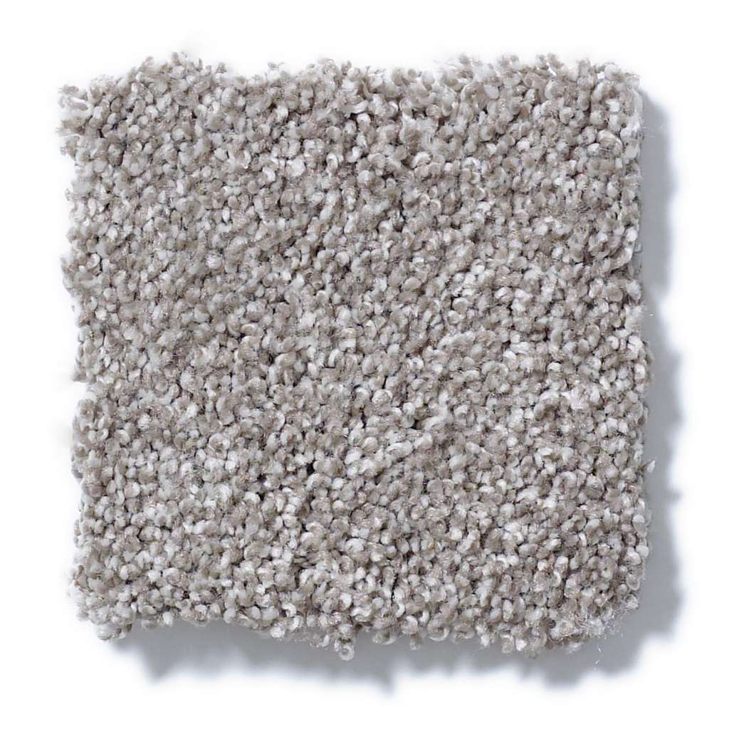 Shaw What's Up 00712 Cocoa Textured Nylon Carpet | Lowest Price — Stone ...