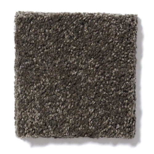 Anderson Tuftex Real Life II 00778 Cocoa Bean Textured Nylon Carpet ...