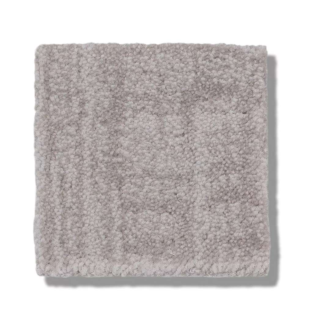 Shaw Caress By Shaw Insightful Journey 00126 Cold Winter Nylon Carpet ...
