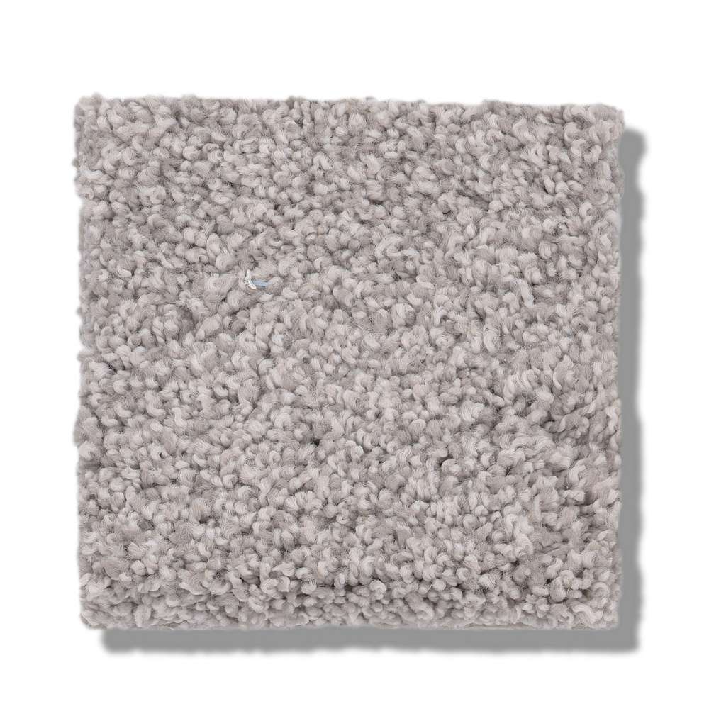 Shaw Caress By Shaw Cozy Harbor II 00126 Cold Winter Nylon Carpet ...