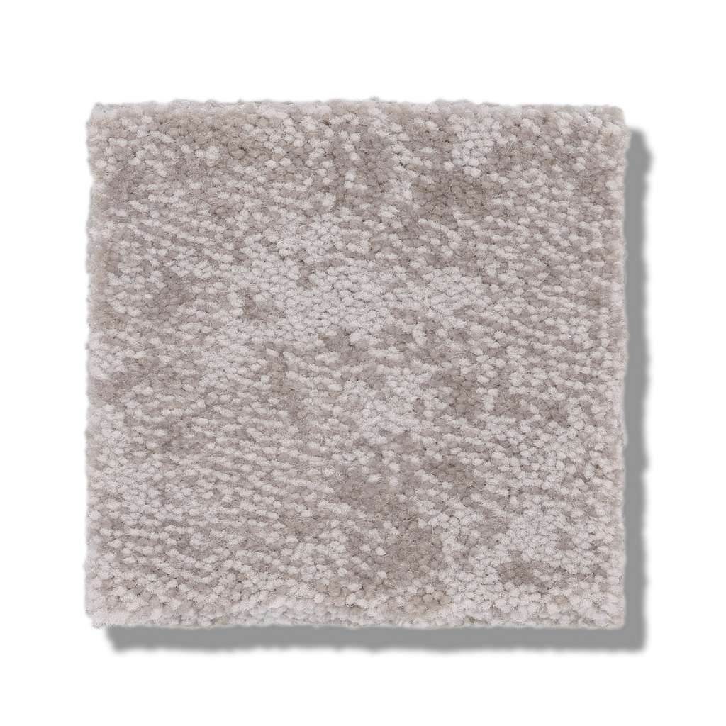 Shaw Caress By Shaw State Of Mind 00126 Cold Winter Nylon Carpet ...