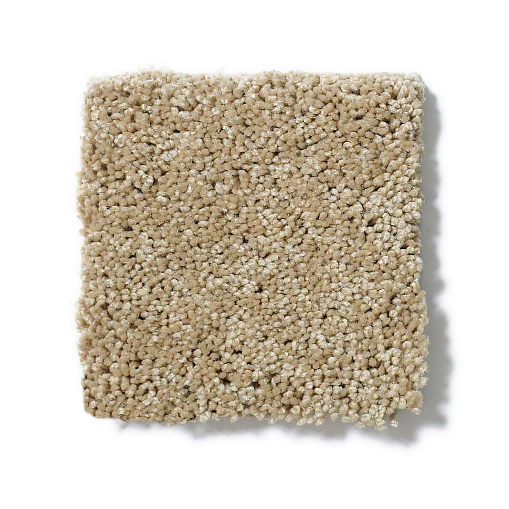 Shaw Enduring Comfort I 00128 Cologne Mist Textured Nylon Carpet ...