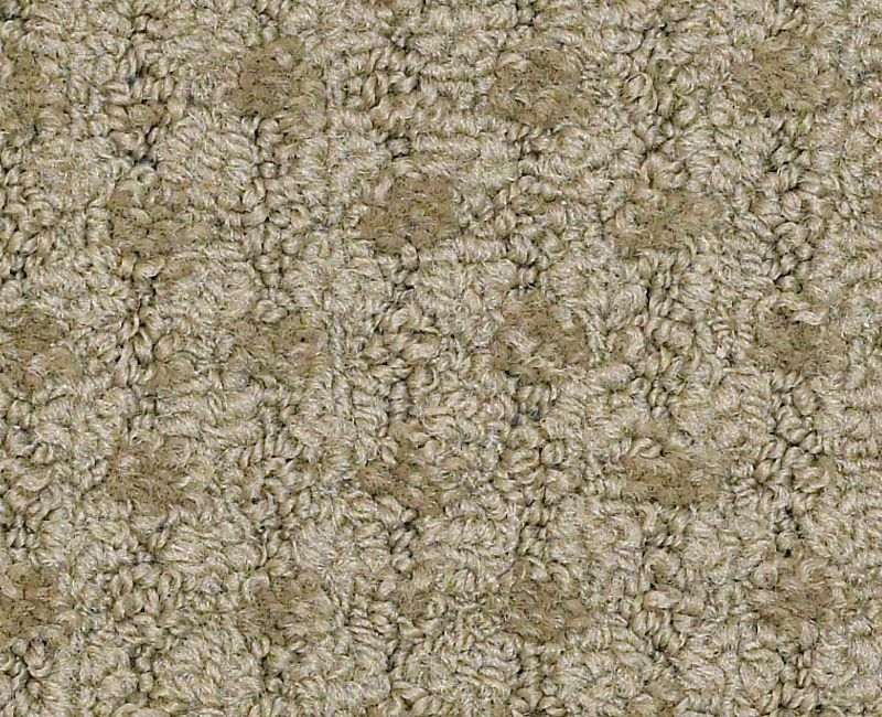 Shaw Hettinger 11300 Colonial District Pattern Nylon Carpet — Stone ...