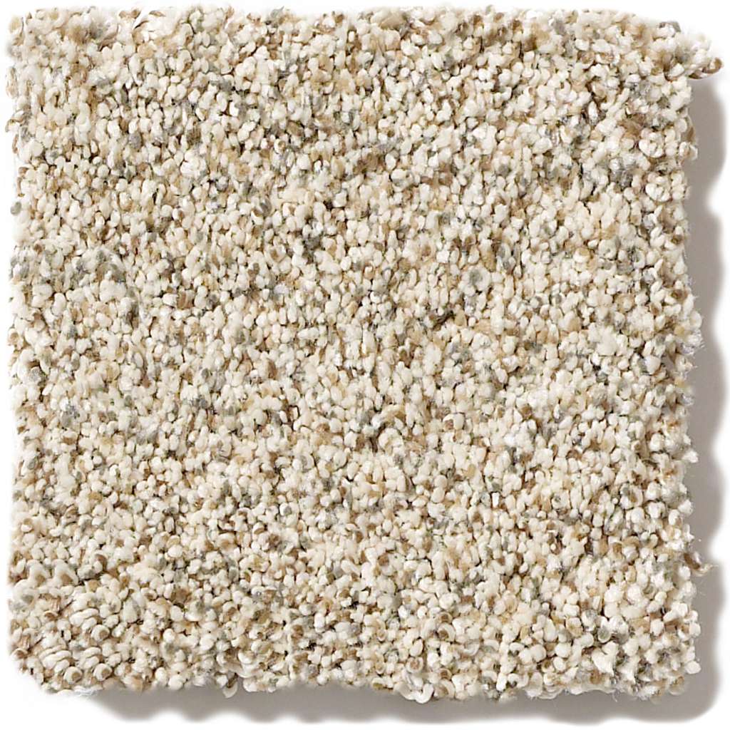 Shaw Caress By Shaw Devon Classic III 0240B Cream Tea Nylon Carpet — Stone & Tile Shoppe, Inc.