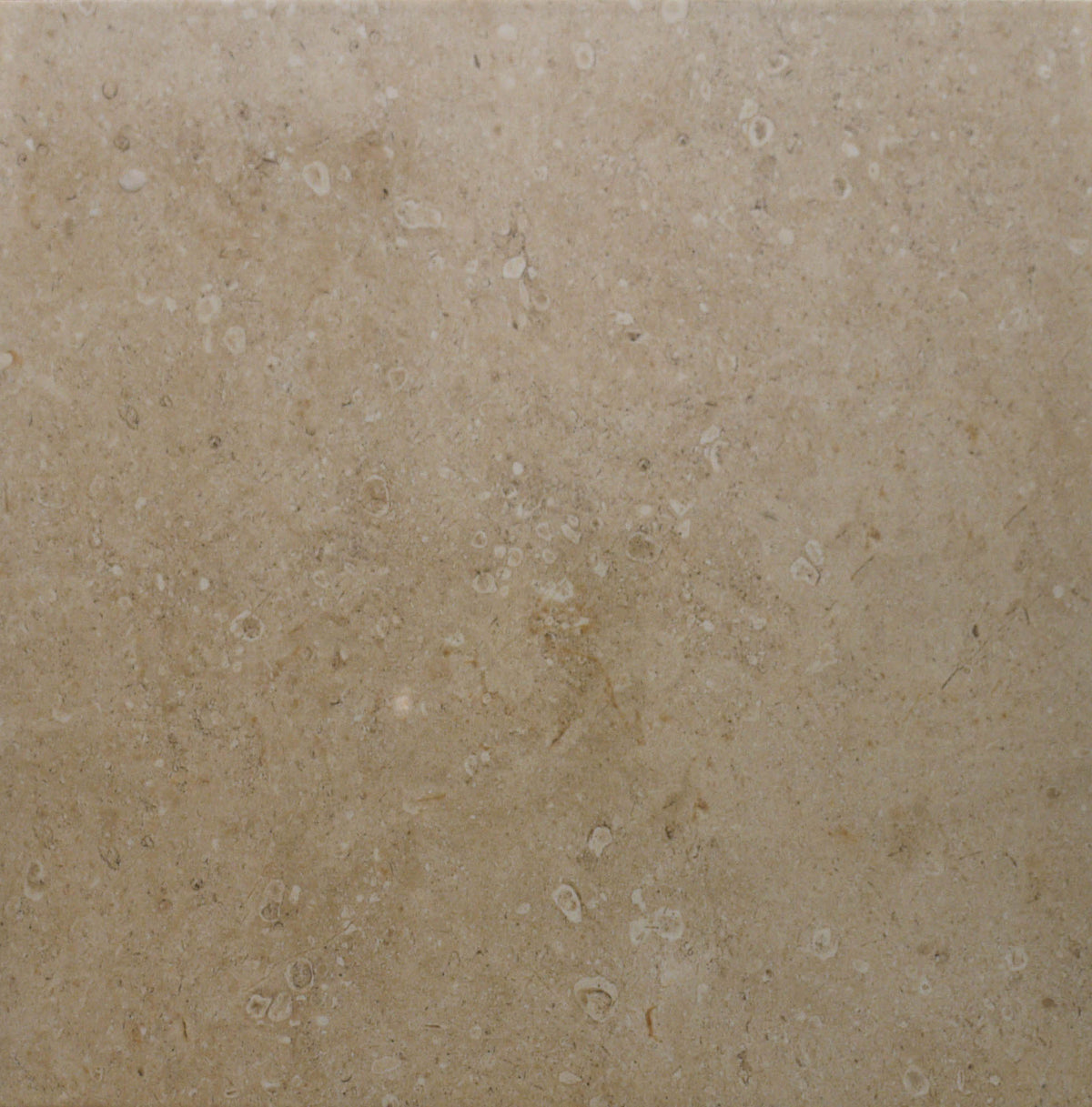 Florenza Ceramic Royale Crema Polished Porcelain Tile | Lowest Price ...