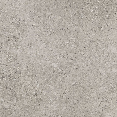 Daltile Dignitary DR08 Superior Taupe Matte Porcelain Tile — Stone ...