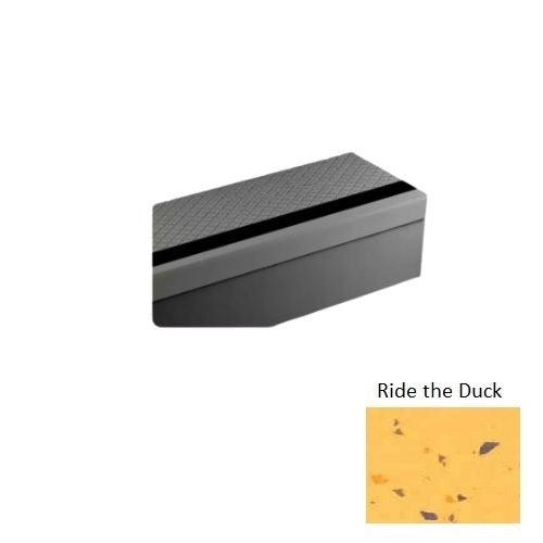Tarkett Johnsonite Ride the Duck Angle Fit Speckled Stair Tread without ...