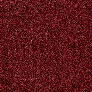 Aladdin Commercial Influencer 30 363 Dark Crimson Carpet — Stone & Tile ...