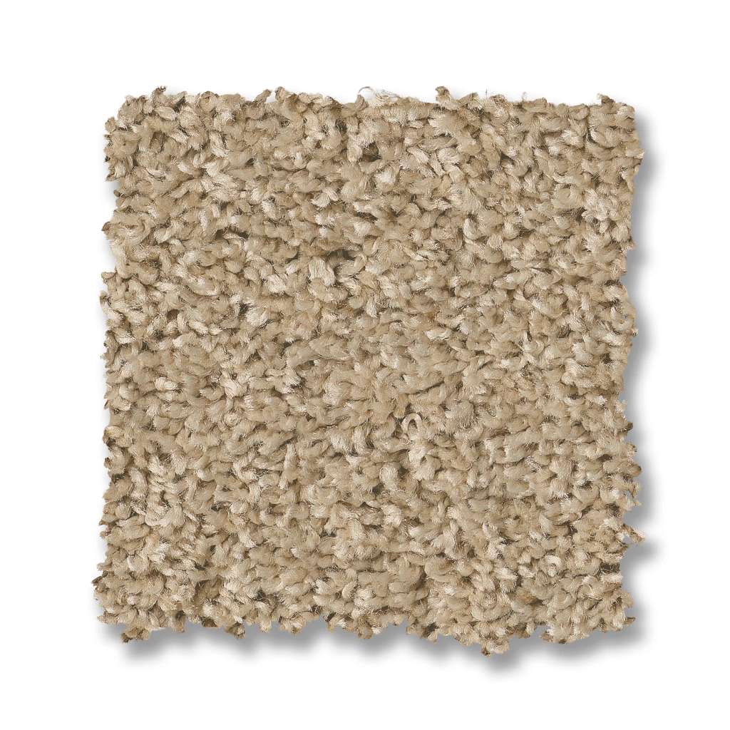 Shaw Shake It Up (S) 00210 Desert Sand Textured Polyester Carpet ...