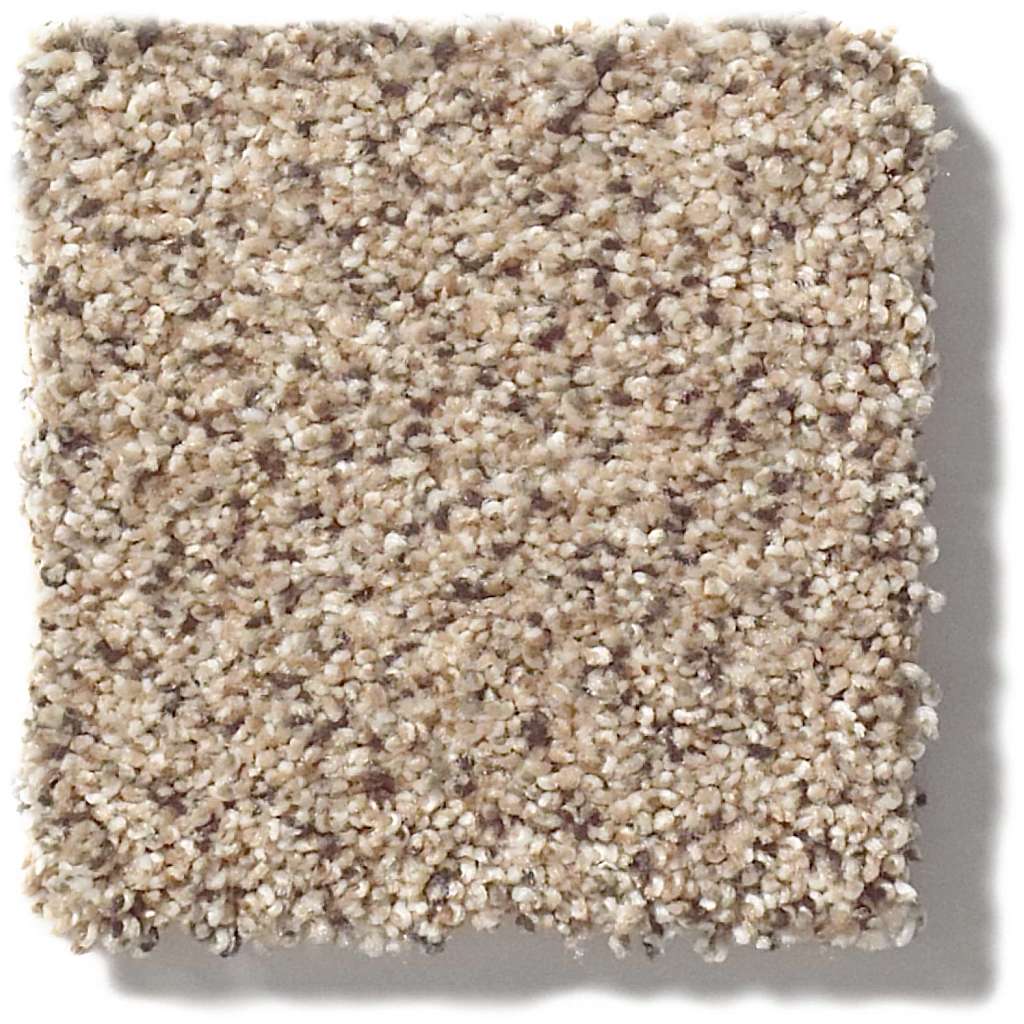 Shaw Foundations Take The Floor Accent II 00172 Desert Sunrise Carpet ...