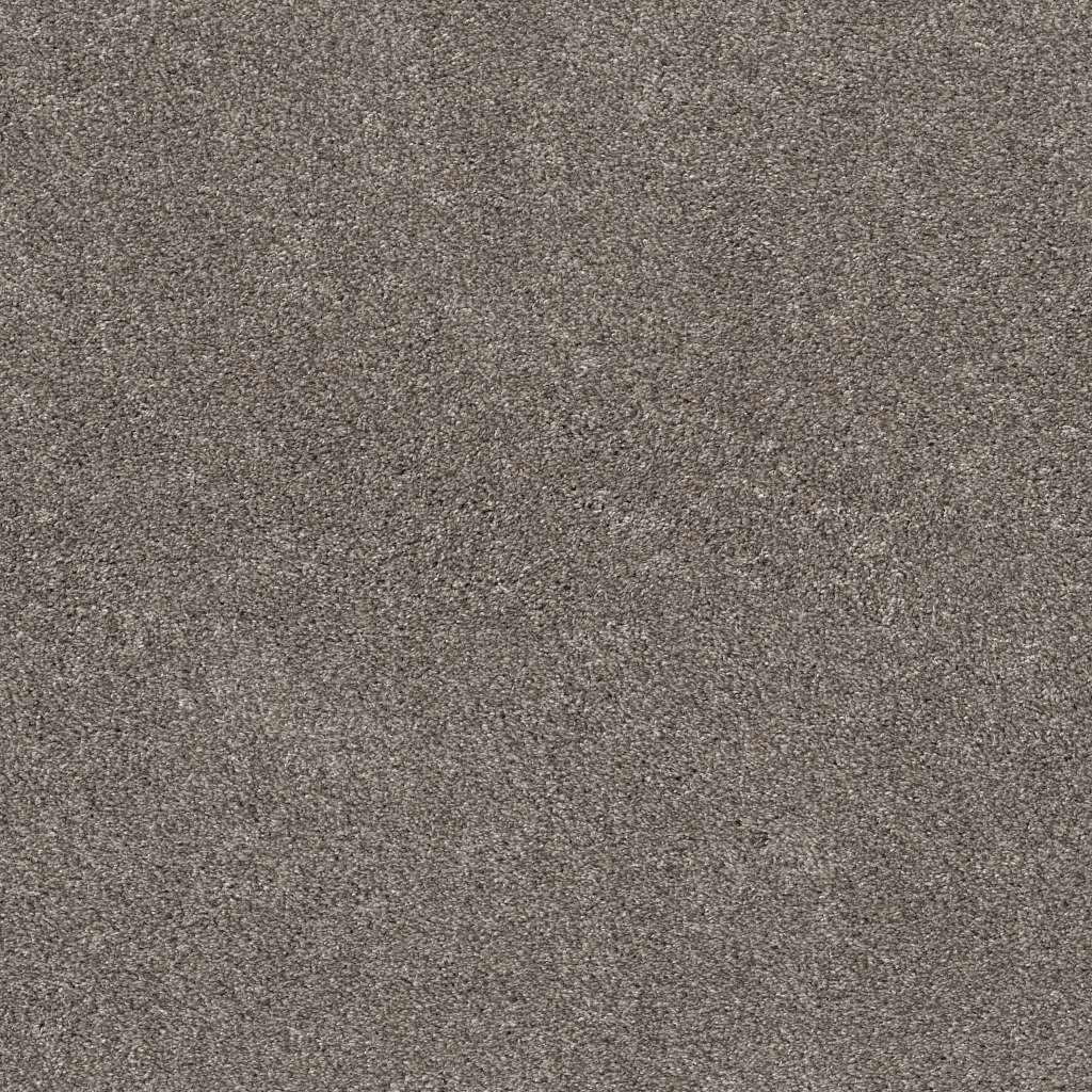 Shaw Pet Perfect Plus Calm Simplicity I 00711 Desert View Carpet ...