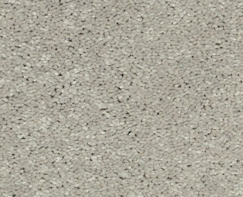 Shaw Main Stay 12' 00501 Dove Tail Textured Polyester Carpet — Stone ...