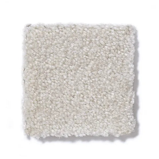 Anderson Tuftex Cabretta 00110 Downey Nylon Carpet — Stone & Tile ...