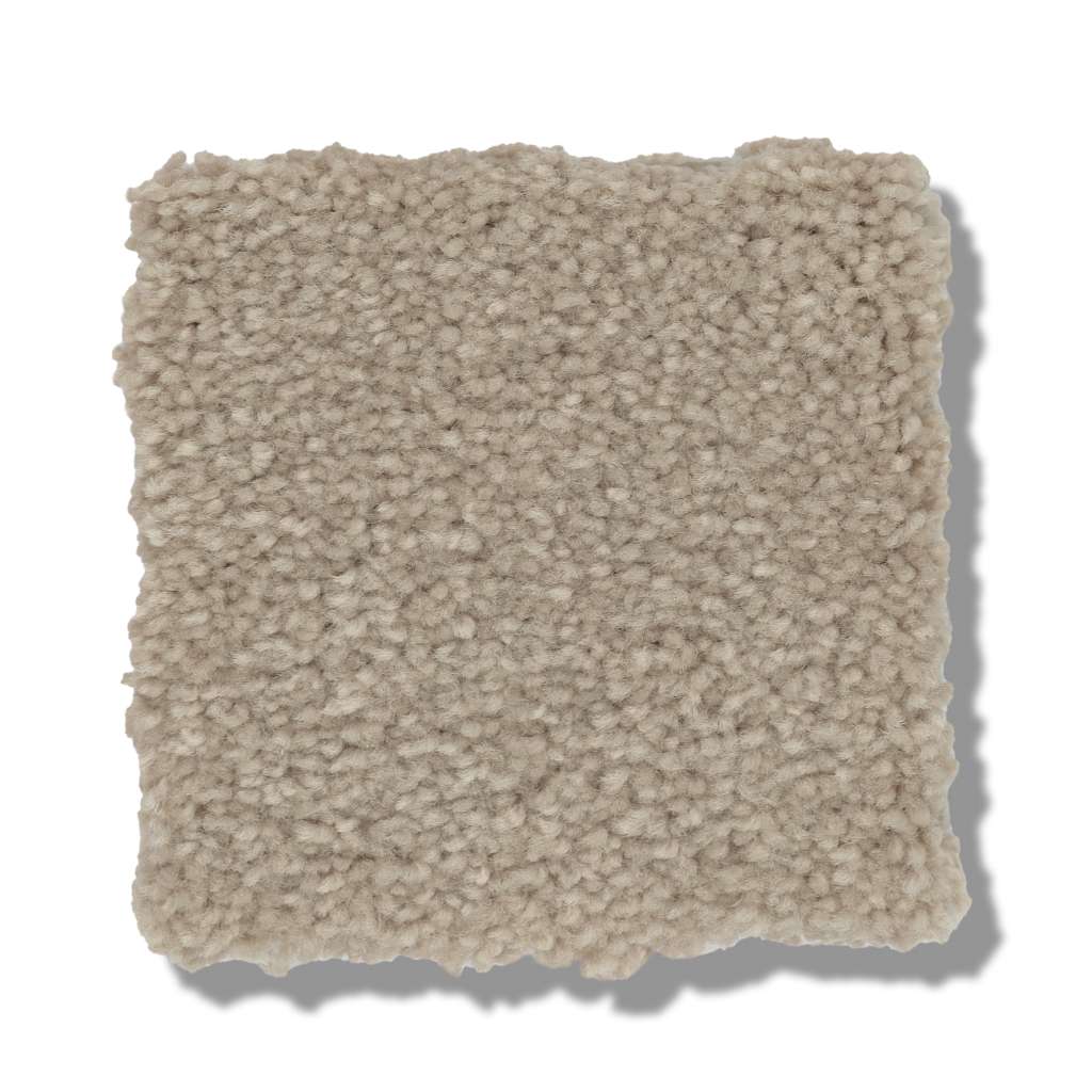 Shaw Simply The Best Solidify II 12' 00103 Dreamy Polyester Carpet ...