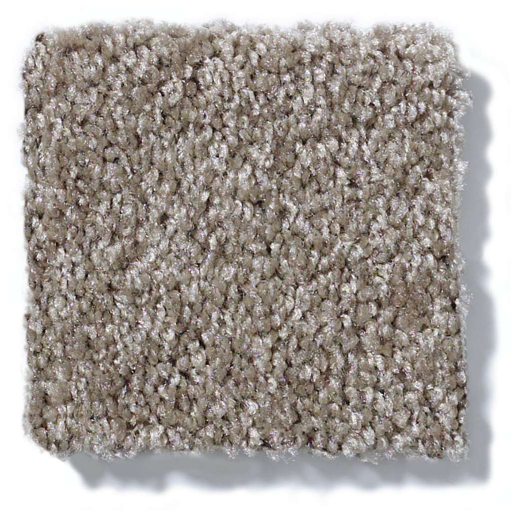 Shaw Parlay 00750 Driftwood Textured Nylon Carpet | Lowest Price ...