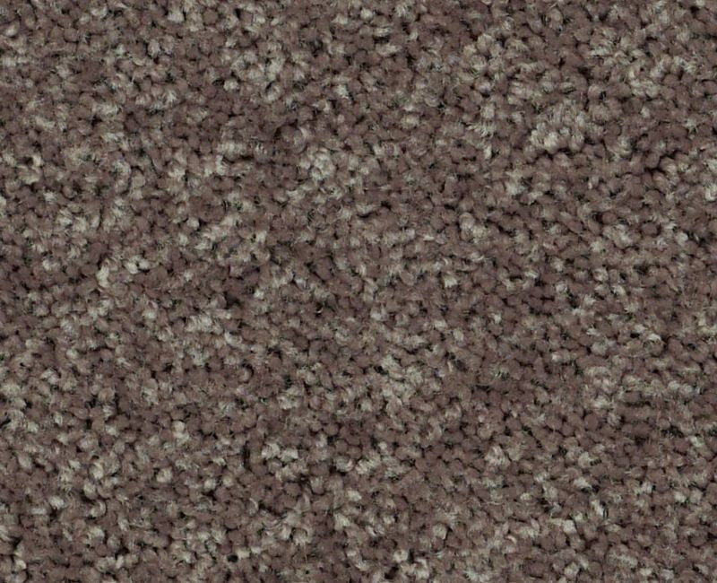 Shaw XV865 00703 Driftwood Textured Polyester Carpet | Lowest Price ...