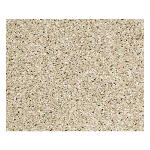 Shaw Striking 00102 Dunes Textured Nylon Carpet | Lowest Price — Stone ...