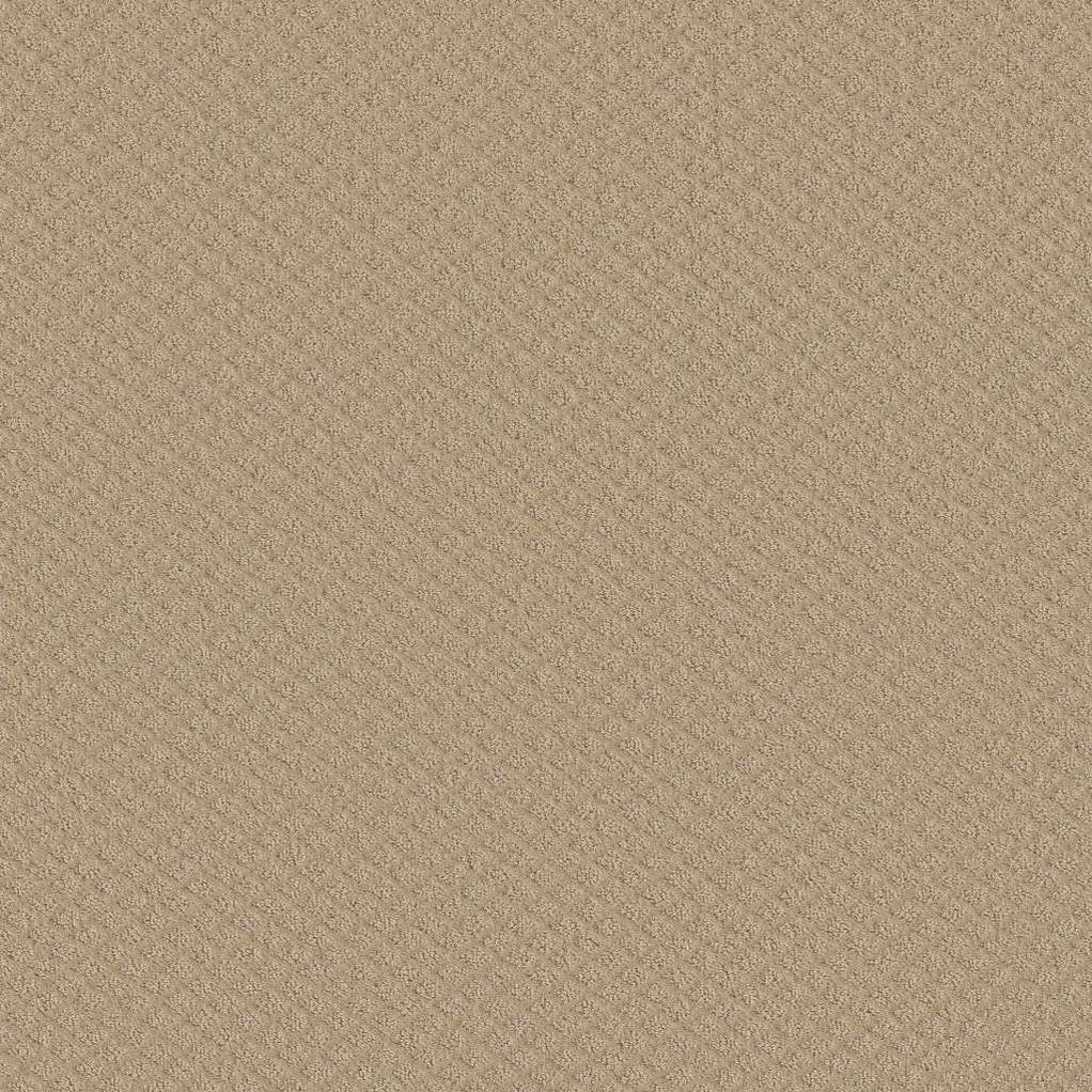 Shaw Padova 00102 Dunes Pattern Nylon Carpet | Lowest Price — Stone ...