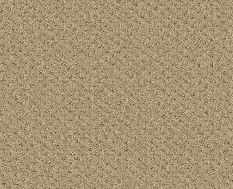 Shaw Gentle PV 00102 Dunes Pattern Nylon Carpet | Lowest Price — Stone ...