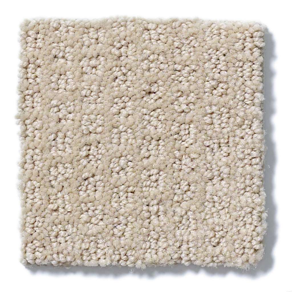 Shaw Simply The Best Pacific Trails 00102 Dunes Pattern Nylon Carpet ...