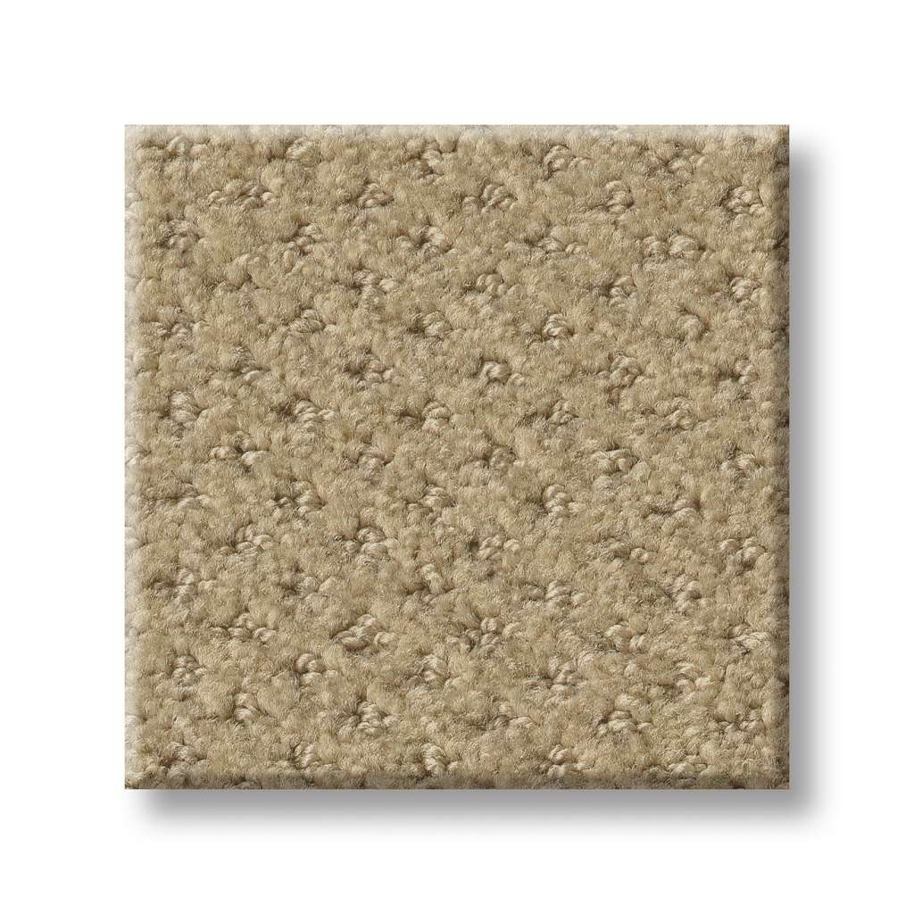 Shaw Genesis 00102 Dunes Pattern Nylon Carpet | Lowest Price — Stone ...