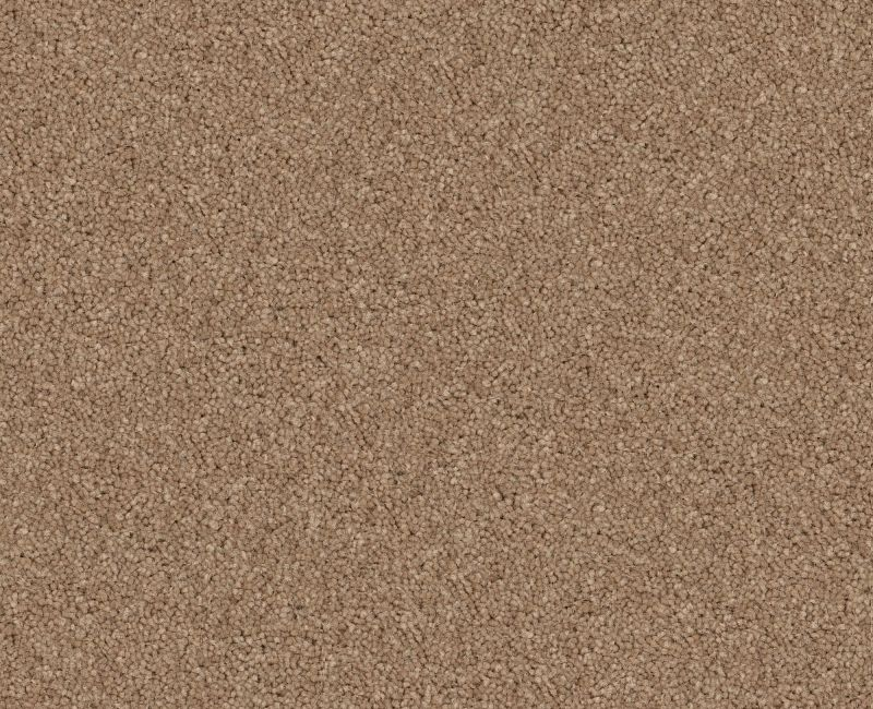 Shaw Nantucket Summer 12' 55793 Dusty Trail Textured Polyester Carpet ...