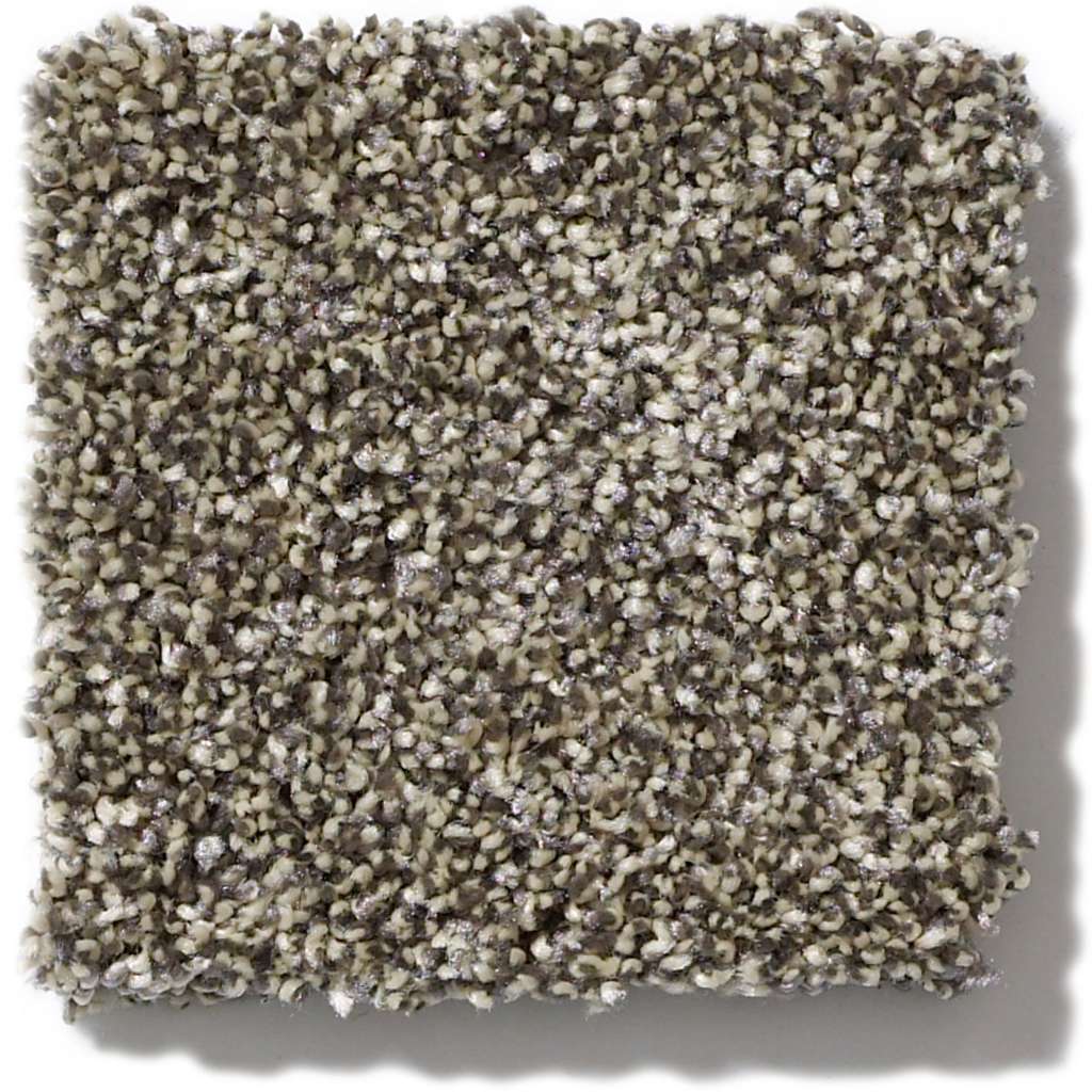 Shaw Simply The Best Of Course We Can I 15' 00500 Dynamic Carpet ...