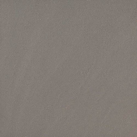 Daltile Ever EV05 Earth Unpolished Porcelain Tile | Lowest Price ...