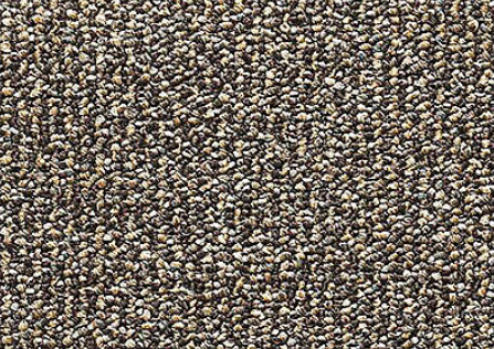 Aladdin Commercial Overview Realigned 868 Earthen Loop Nylon Carpet ...