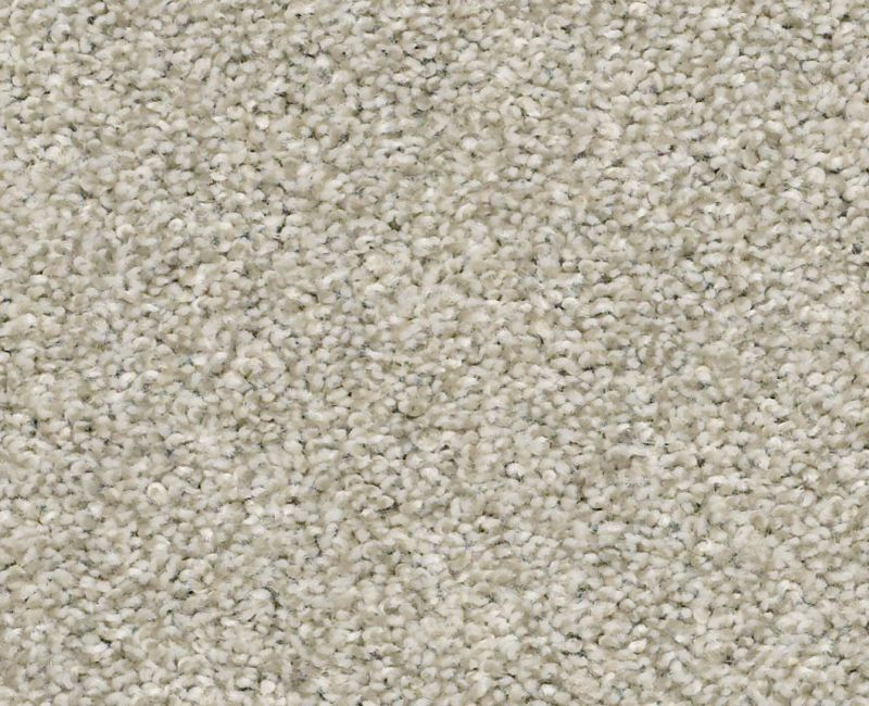 Shaw Marina II 00530 Ecru Textured Polyester Carpet | Lowest Price ...