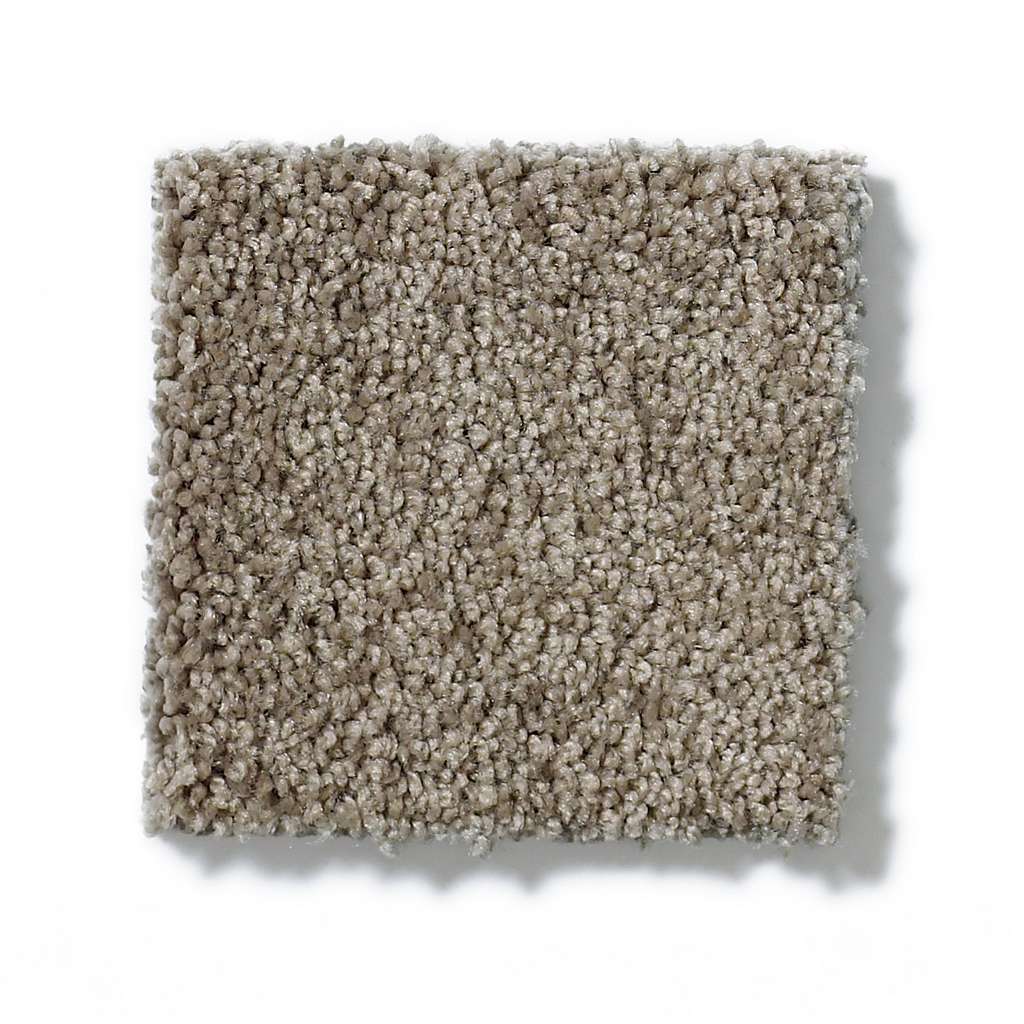 Shaw Origins II 00565 Elephant Textured Nylon Carpet | Lowest Price ...