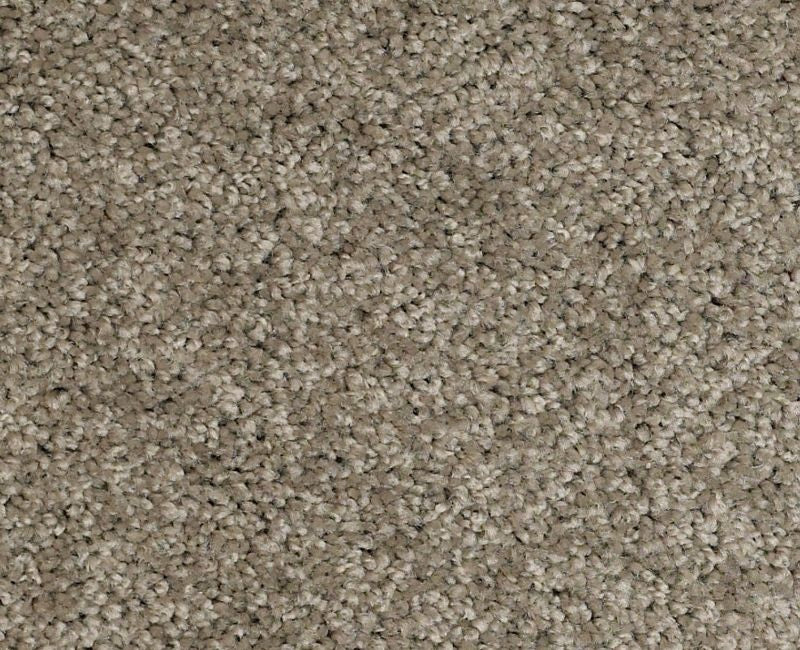 Shaw Orlando PV 00565 Elephant Textured Nylon Carpet | Lowest Price ...
