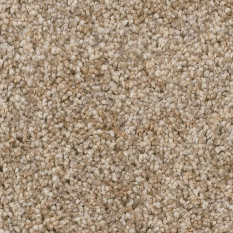 Phenix Modern Contours Lavish 123 Entrust Textured Polyester Carpet ...